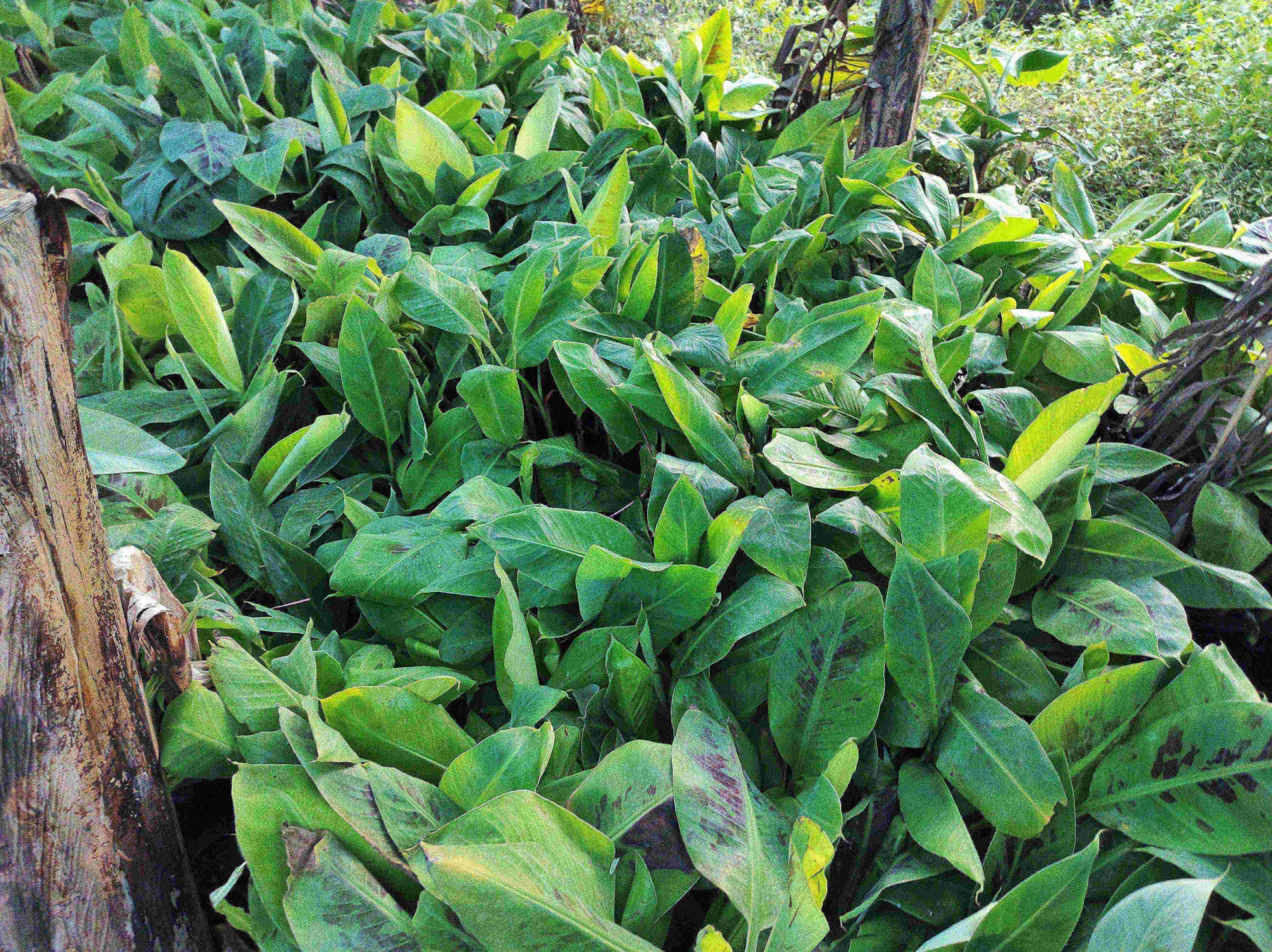 Shivtirth Agro Services Khamni