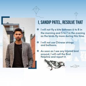 9000+ Save birds templates Images & Videos | Save birds templates ...