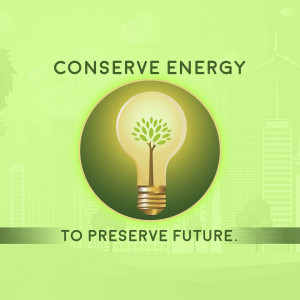 conservation energy future
