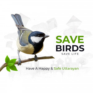 6500+ Save birds Images & Videos | Save birds Poster Make - 2024