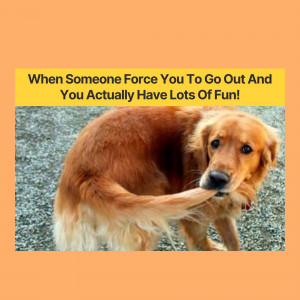 Reluctant Dog Meme Business Poster For Facebook
