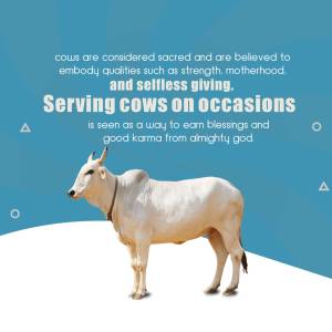 Sacred Cows And Blessings Design For Threads