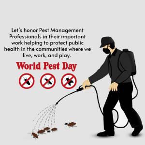 World Pest Day Images - Download FREE on Brands.live