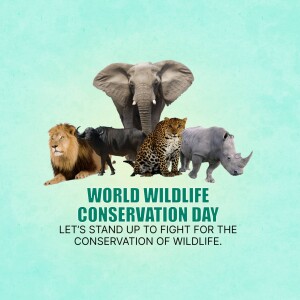 Wildlife Preservation Quotes World Wildlife Day Penguin Conservation