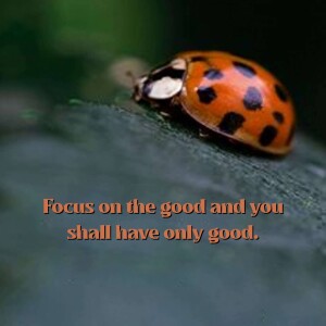Ladybugwith Quotes