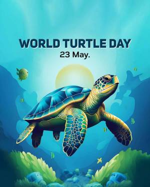 Download FREE World Turtle Day Poster From Brands.live