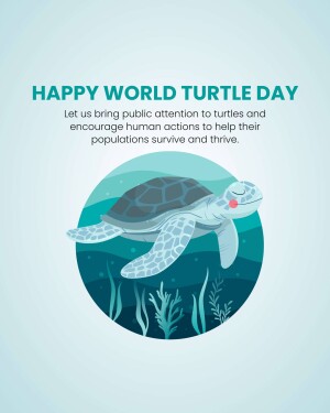 Download FREE World Turtle Day Poster From Brands.live