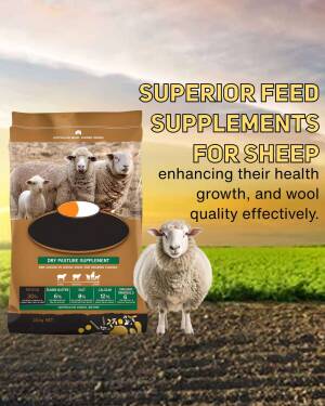 Superior Feed Supplements For Sheep Artwork For Snapchat