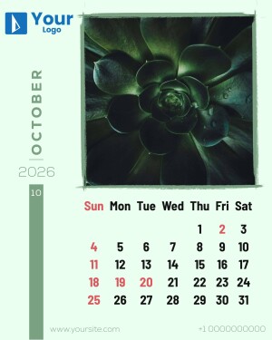 October 2025 Succulent Calendar Status Post For LinkedIn