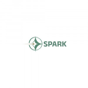 Spark Logo Design For Instagram