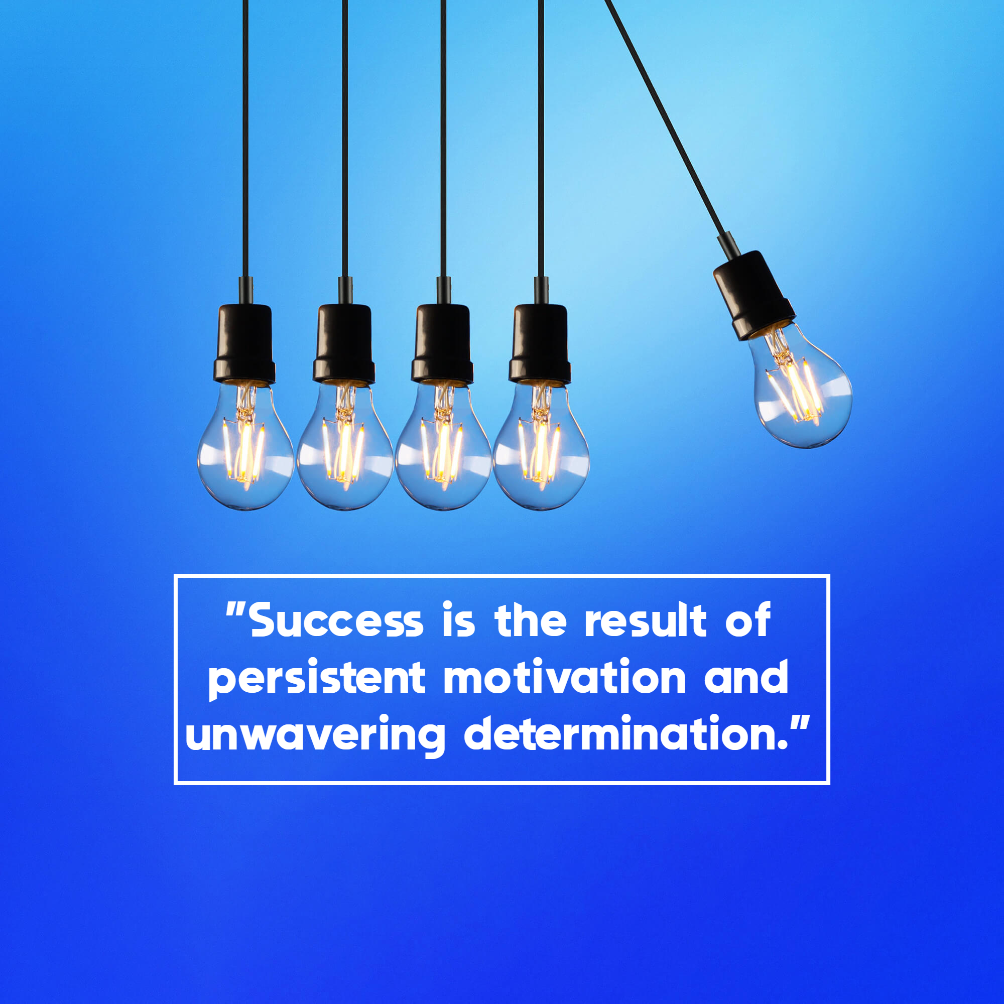 Create Education Poster and Education Images | Brands.live